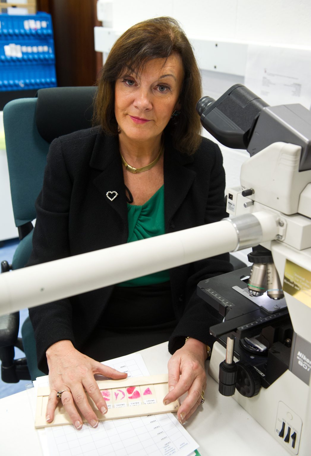 Interview with Professor Mary Sheppard - Cardiac Risk in the Young